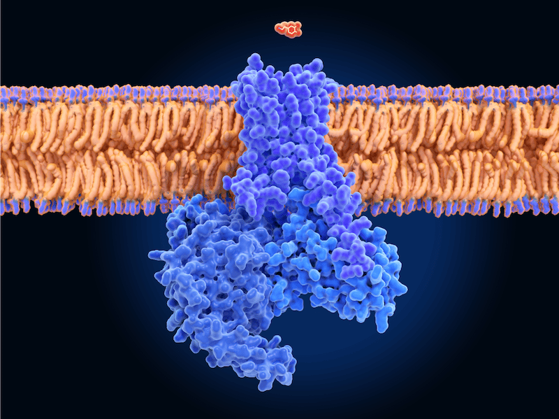 About cryoDuck B.V. - Leading the Cryo-EM Revolution in Drug Discovery