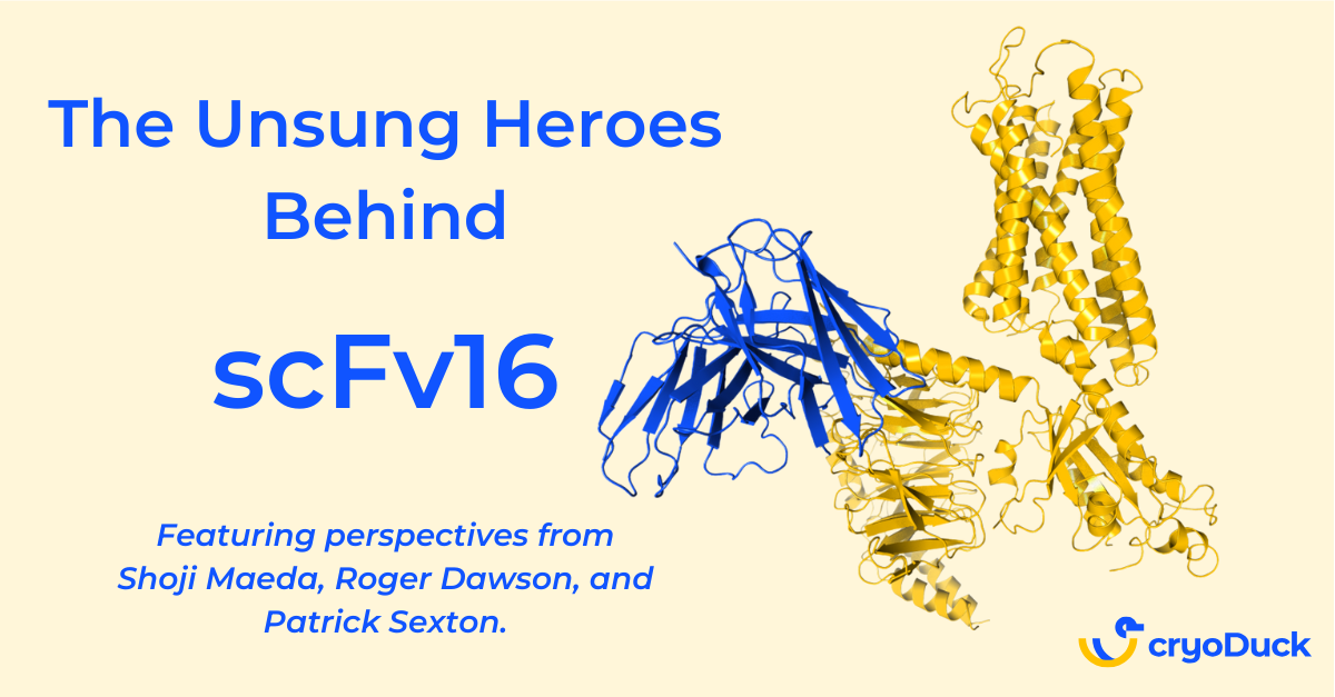 scFv16: The Unsung Heroes Behind a Critical Tool for GPCR Research